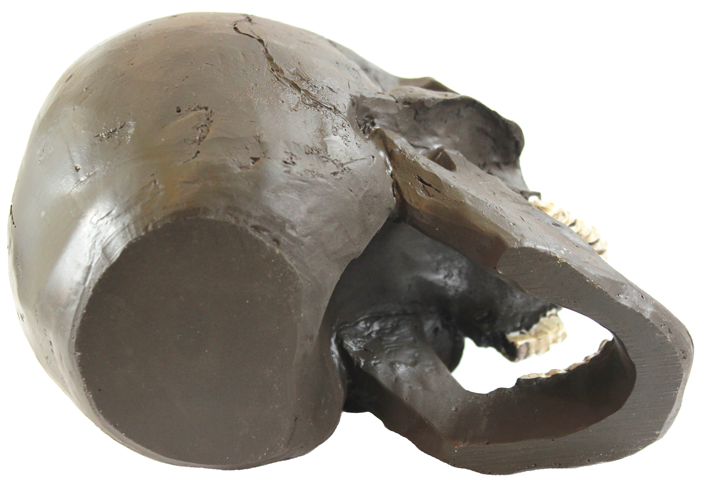 Creepy Halloween Human Skull Sculpture with Mouth Open, Black